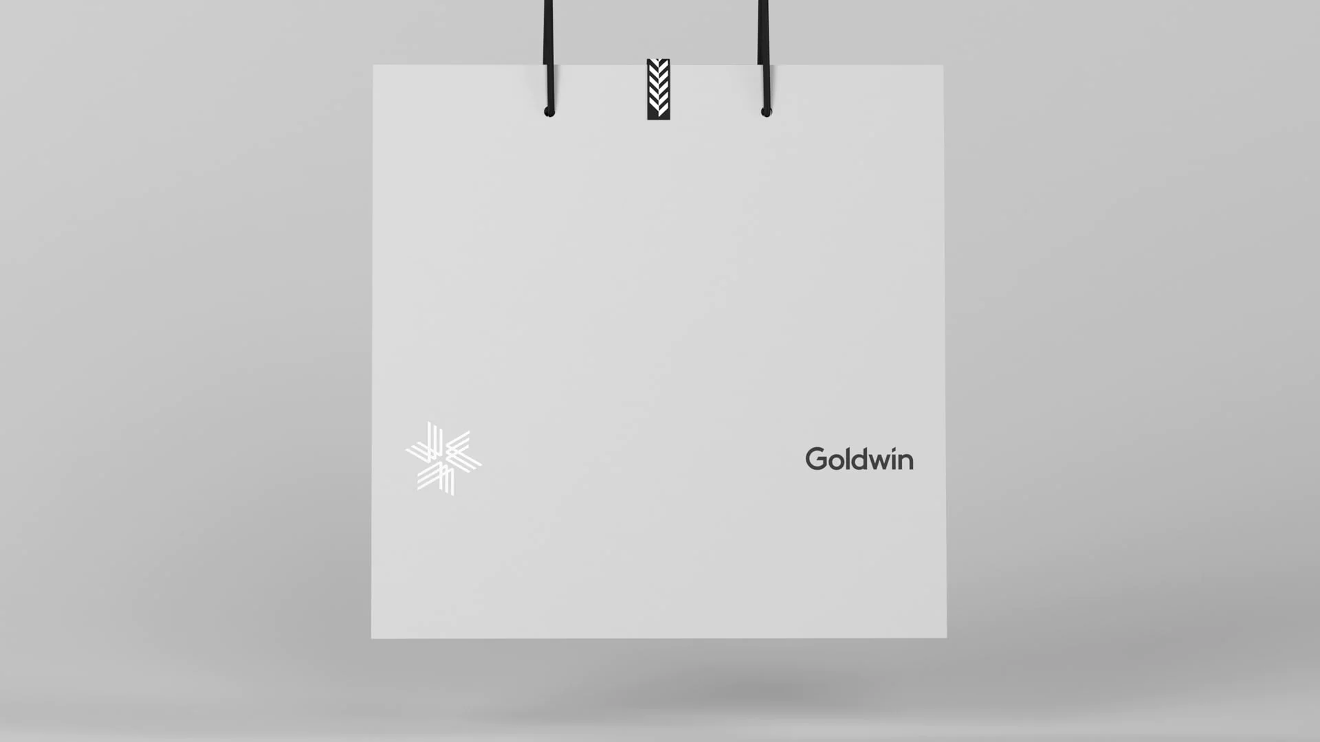 Goldwin Logo
