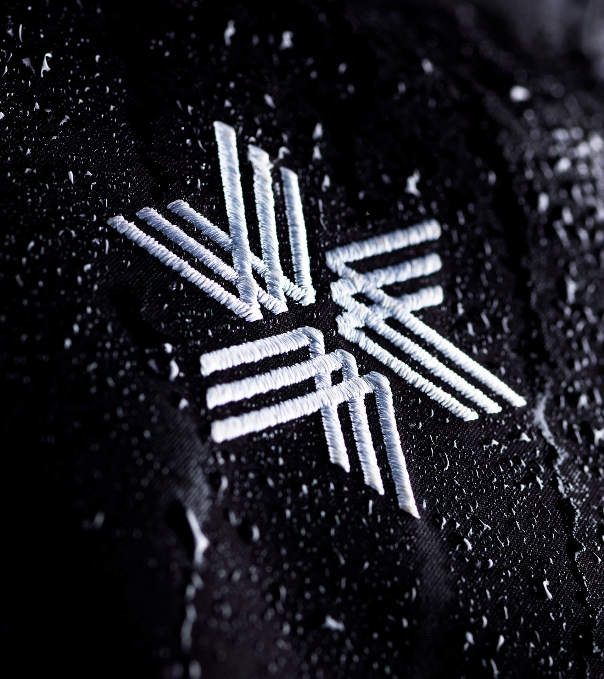 Goldwin Logo