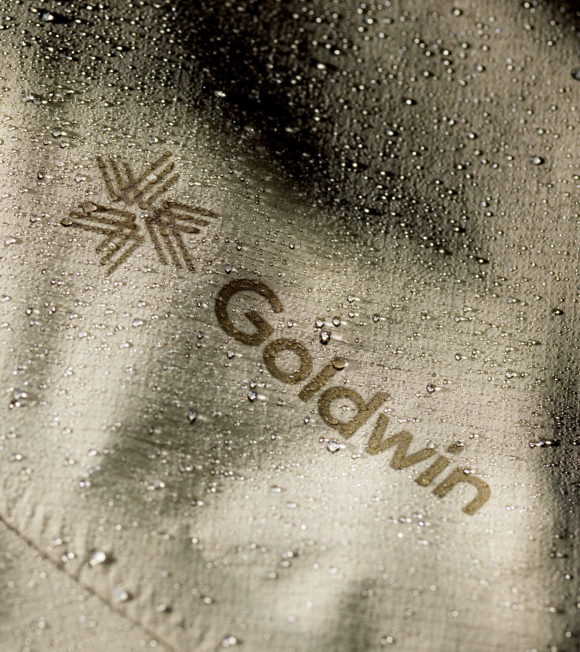 Goldwin Logo
